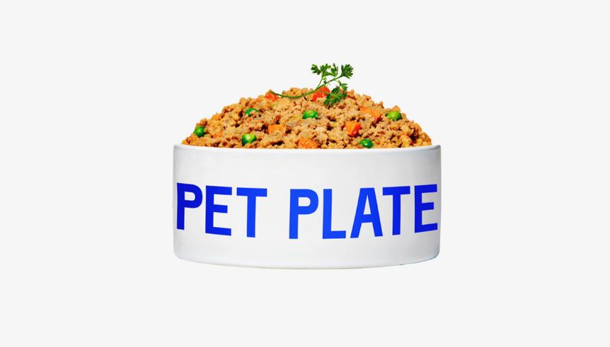 Pet Plate Shark Tank - Where Are They Now? 2020 UPDATE
