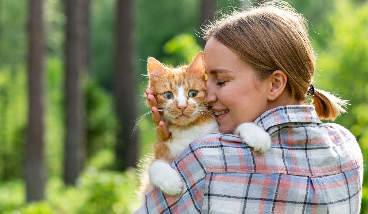 What Is A Female Cat Called Different Names For Girl Cats