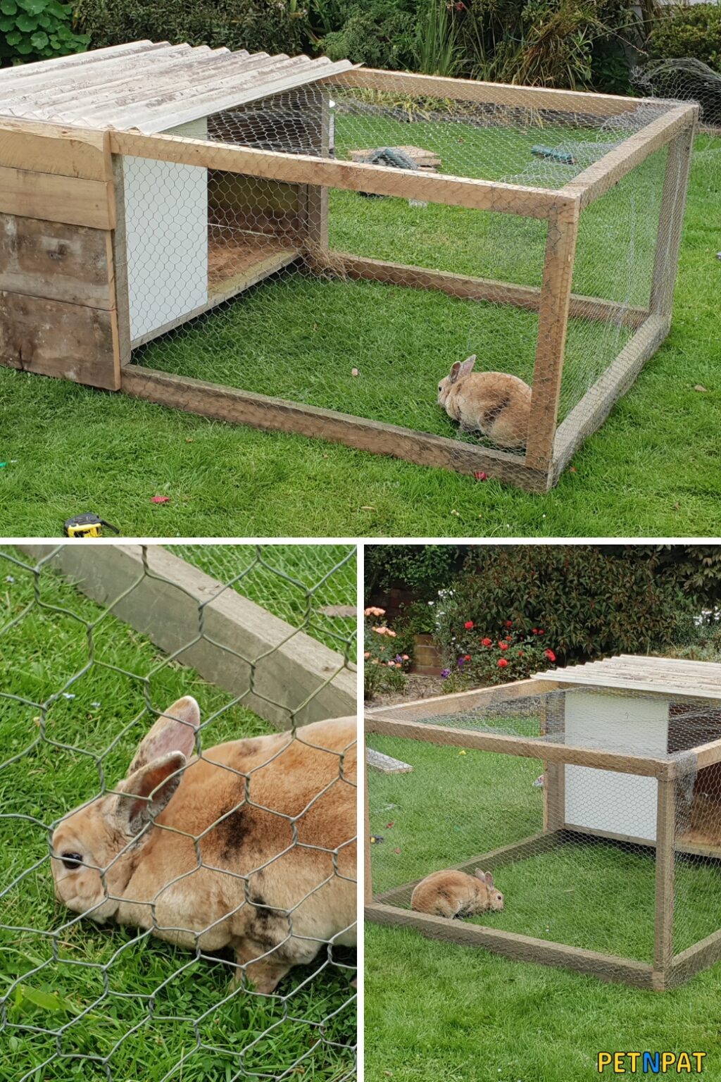 10 BEST Outdoor Rabbit Hutches And Runs For Safety And Shelter